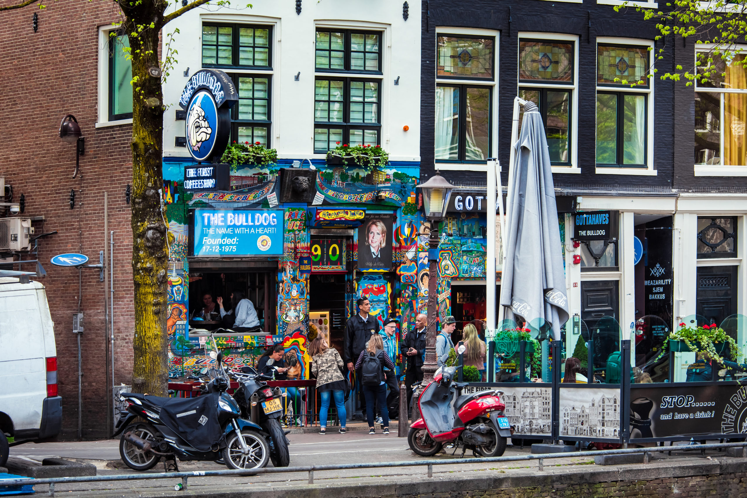 Cannabis Usage in the Netherlands: Everything You Need To Know - Eurocones